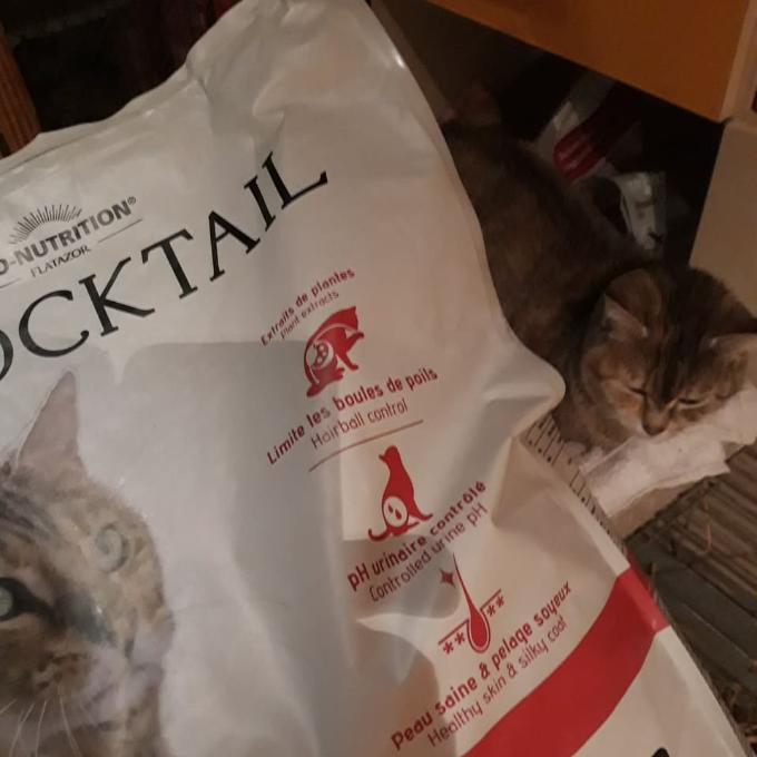 Pusinka z Lucky - Kočičí přání